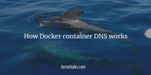 How Docker container DNS works - Kernel Talks
